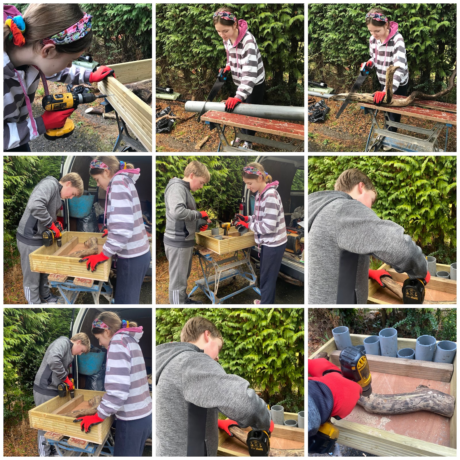 Ponteland High School Students Bring Science to Life at the Local Zoo ...